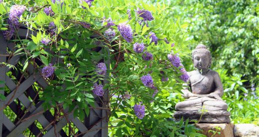 Welcome to the Concord Museum — Concord Museum