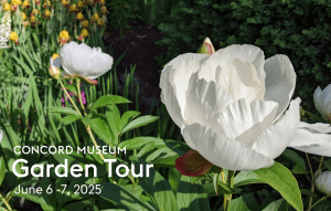 Welcome to the Concord Museum — Concord Museum