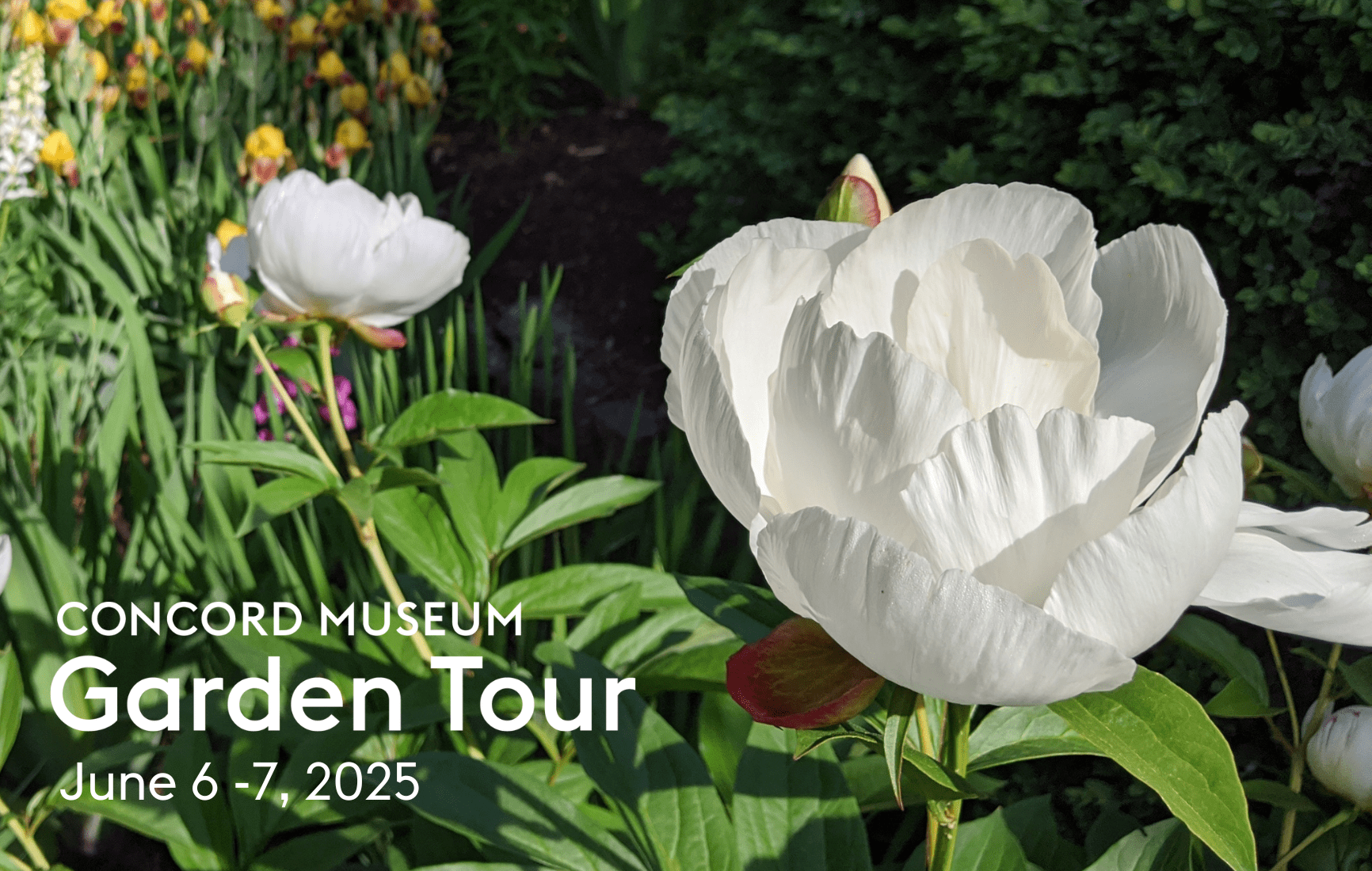 The Garden Tour — Concord Museum